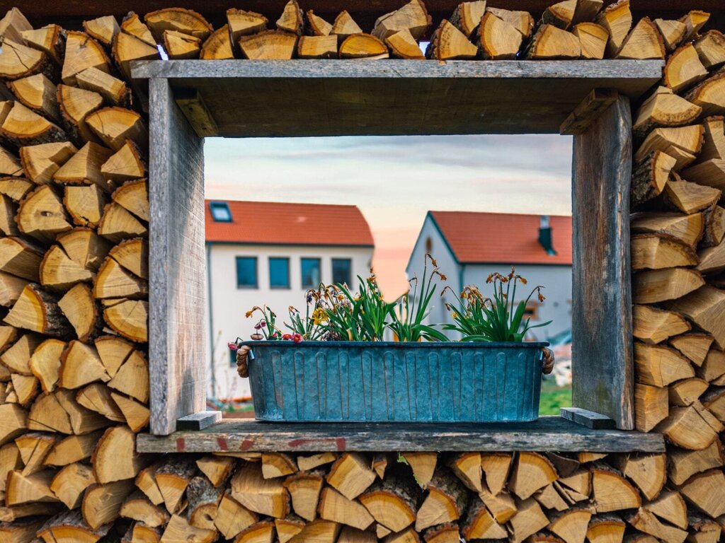 Biohof zum grünen Baum | Urlaub am Bauernhof